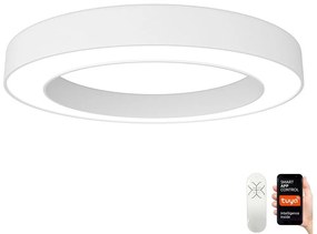 Immax Neo | Immax NEO 07212L - LED Stmívatelné svítidlo PASTEL LED/53W/230V bílá Tuya + DO | IM1270