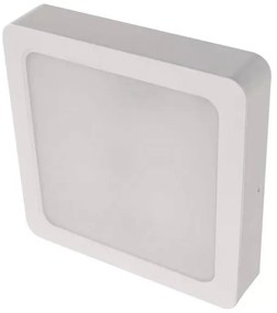 LED Stropní svítidlo LED/24W/230V 22x22 cm bílá