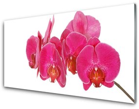 Obraz na skle Květiny Rostlina 100x50 cm