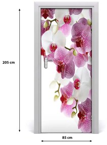 Fototapeta na dveře Orchidej 85x205 cm