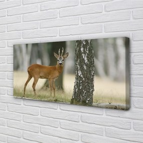 Obrazy na plátně jelen lesní 140x70 cm