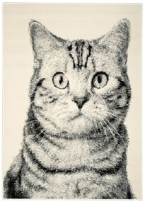 Alfa Carpets, Kusový koberec Cat grey, 190x280, šedá, dětský pokoj