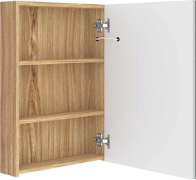 LED koupelnová skříňka se zrcadlem bílá a dub 50 x 13 x 70 cm 326493