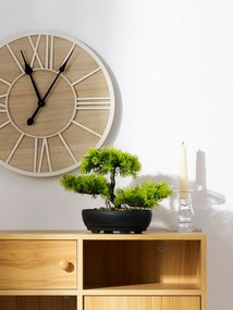 Sinsay - Dekorační rostlina bonsai v květináči - zelená