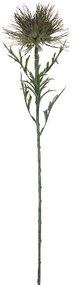 Edelman EGO DEKOR Květina Protea, zelená, 71 cm