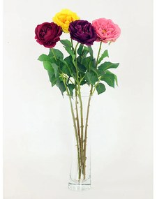 Růže, mix barev UKA020