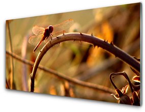 akrylový obraz Vážka Příroda Rostlina 140x70 cm