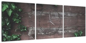 Obraz - Břečťan (s hodinami) (90x30 cm)