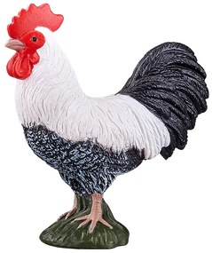 Mojo Kohout
