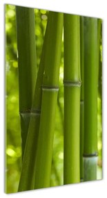 Wallmuralia Vertikální Foto obraz sklo tvrzené Bambusový les 50x100