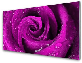 akrylový obraz Růže Květ Rostlina 140x70 cm