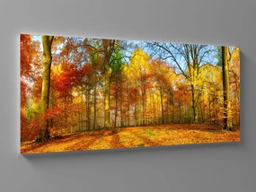 Liox XXL Obraz barevný podzim Rozměr: 250 x 125 cm