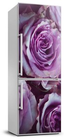 Wallmuralia Nálepka fototapeta lednička Fialové růže 60x180 cm