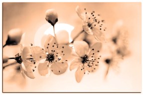 Obraz na plátně - Malé květy na větvi 1173FA (120x80 cm)