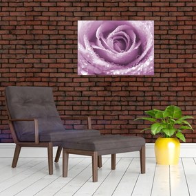 Skleněný obraz detailu květu růže (70x50 cm)