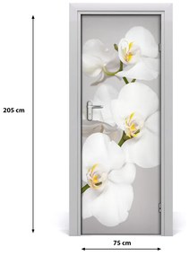 Fototapeta na dveře Bílá orchidej 75x205 cm