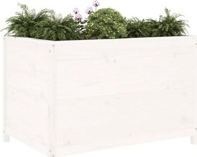 vidaXL Zahradní vyvýšený záhon 119,5x82,5x78cm masivní dřevo douglasky [825311] Barva: Bílá borovice