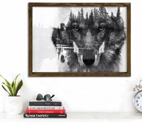 Nástěnný obraz Wolf 50x70 cm černobílý