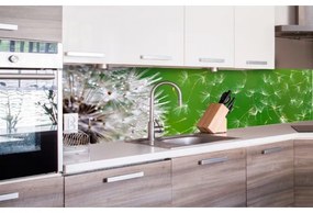 DIMEX | Fototapeta do kuchyně Pampeliška KI-260-012 | 260 x 60 cm | zelená, bílá, hnědá