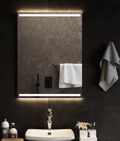 vidaXL Koupelnové zrcadlo s LED osvětlením 60 x 80 cm [3154066]