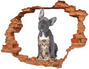 Wallmuralia Díra 3D fototapeta na stěnu Pes a kočka 90x70 cm