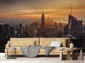 Fototapeta na míru New Yorské Panorama | Vliesová fototapeta na zed' | DFTNXXL3011