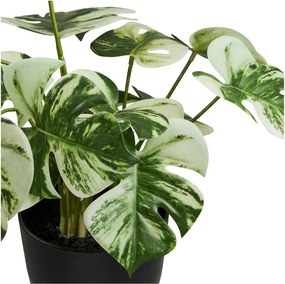 Umělá květina (výška 41 cm) Monstera – House Nordic
