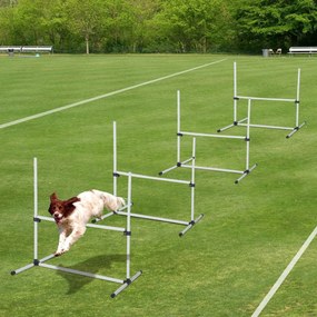 Goleto Agility překážky pro psy 95 x 65 x 95 cm| bílá