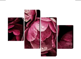 Vícedílný obraz Pivoňka Květiny Zblízka 3D Nedostatek Nedostatek Přírodní plátno 240x150