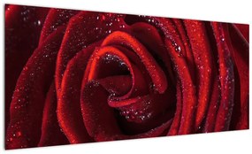 Obraz rudé růže (100x40cm)