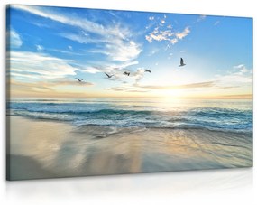 Malvis ® Obraz moře s racky Velikost (šířka x výška): 60x40 cm