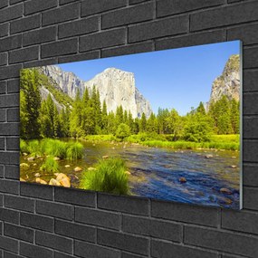 Obraz na skle jezero Hora Les Příroda 120x60 cm