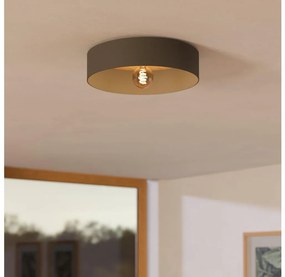 Eglo 901745 - Stropní svítidlo DUAIA 1xE27/40W/230V šedá