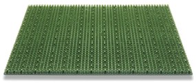 Rohožka ARI zelená Rozměry: 40 x 60 cm