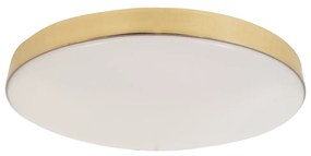 Stropní LED svítidlo Maya, 1x LED 15w, 4000k, g