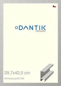 DANTIK rámeček 29,7x42 | ALU profil 6240 Stříbrná matná (Plexi Čiré)