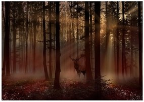 Fototapeta - Mystical Forest - First Variant