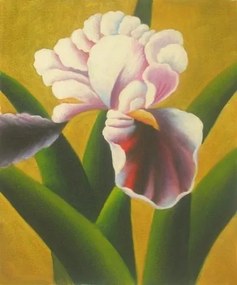 Detail květu - 120 x 90 cm