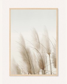 Oboustranný plakát Pampy / Letní Mořská Krajina | 30 x 42 cm | DP351355