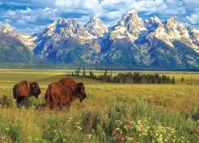 EUROGRAPHICS Puzzle Národní park Grand Teton / 1000 dílků / 68 × 48 cm