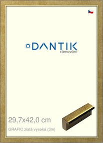 DANTIK rámeček 29,7x42 | GRAFIC zlatá vysoká (Plexi Čiré)