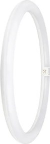 LED kruhová zářivková trubice T9 G10q LEDVANCE SubstiTUBE 24W (40W) neutrální bílá (4000K)