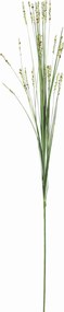 XXXLutz DEKORAČNÍ TRÁVA 70 cm - Dekorační tráva - 0041770134