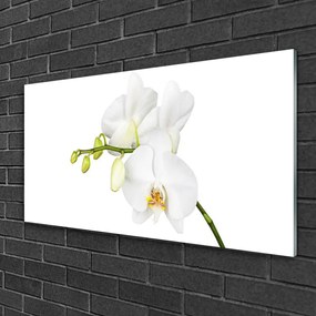 Obraz na skle Orchidej Květiny Příroda 120x60 cm