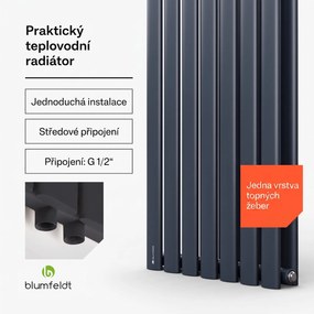 Blumfeldt Tallheo, 41 x 180, radiátor, koupelnový radiátor, trubkový radiátor, 691 W, teplá voda, 1/2