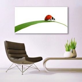 akrylový obraz Beruška Příroda 120x60 cm