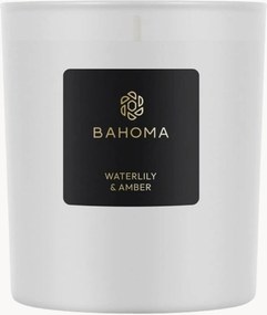 Vonná svíčka Waterlily & Amber (bergamot, vodní zelené tóny, čerstvá hruška)