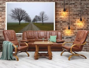 Kožená sedací souprava Frida 3R+1+1 S42/D3