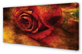 Obrazy na plátně rose picture 120x60 cm