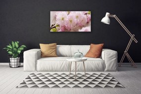 Obraz na plátně Větve Květiny Plátky Příroda 100x50 cm